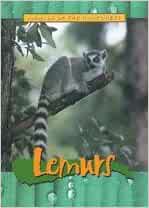 Animals of the Rainforest: Lemurs: Butz, Christopher: 9781844211005 ...