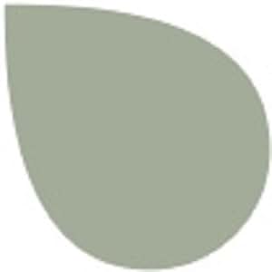 Amazon.com: Rit Fabric Dye in 141 Colors - Color = DESERT SAGE