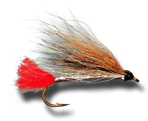 Black Nose Dace Fly Fishing Fly - MasterBasser
