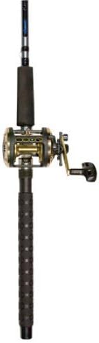 Best Salmon Rods of 2021 – Buyer’s Guide Review