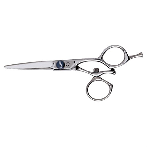 Amazon.com : Centrix V2-500 Vortex Professional Shear, 5 Inch, 15.36 ...