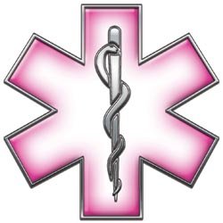 Amazon.com: Star of Life EMT EMS Pink 4" Reflective Decal: Automotive