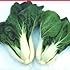 PAK CHOI - Dwarf Canton White - Chinese - 300 seeds: Amazon.co.uk ...