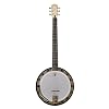 Deering Goodtime Six-R 6-string Banjo With Resonator in Oman | Whizz Banjos