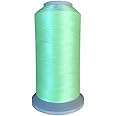 Amazon.com: TcJ-Chen 3000Yards / 2700M Glow in The Dark Embroidery ...