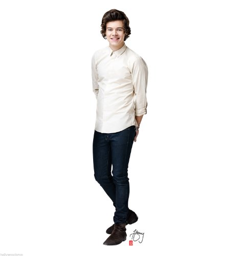 One Direction Life Size Poster