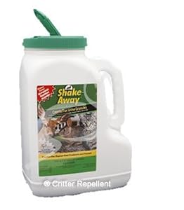 What Is The Best Rabbit Repellent For My Garden?