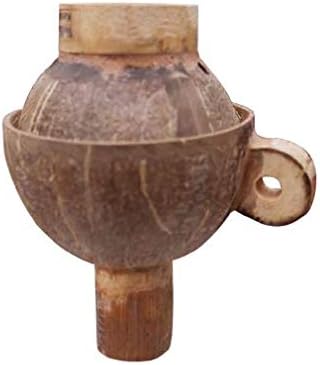Merit Coconut Shell Puttu Maker price in UAE | Amazon UAE | kanbkam