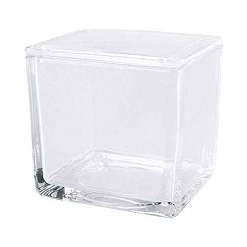Adamas-Beta Glass Slide Staining Jar with Lid,Coplin Staining Jar 30 ...
