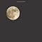 Selenophile Spellbook: 60 Day Spellcasting Journal for Witches and ...