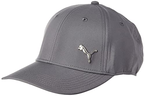 PUMA Evercat Alloy Stretch Fit Adult Hat Gray Size Large/extra Large ...