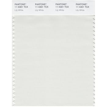 PANTONE Smart 11-0601X Color Swatch Card, Bright White - House Paint ...