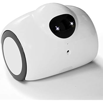 Amazon.com : Appbot Riley App Controlled Movable Home Safety Robot ...