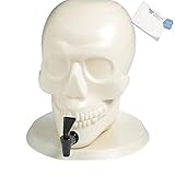 Giant Skull Drink Dispenser