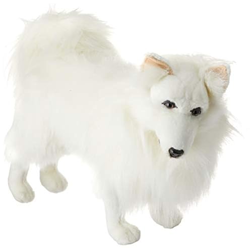 How Much Does A German Spitz Cost