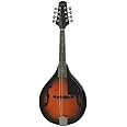 Amazon.com: Savannah SA-100 A-Model Mandolin, Sunburst : Musical ...