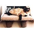 Amazon.com : Large Padded Cat Window Perch : Color Natural : Size Large ...