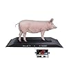 PEC Small Medium Livestock Scale, 2000 lb Animal Scales for Farm Calf ...