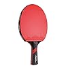 Professional Table Tennis Racket Paddle Wood/Carbon Fiber Blade Flared ...