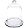 West5Products Glass Cloche - Large: Amazon.co.uk: Kitchen & Home