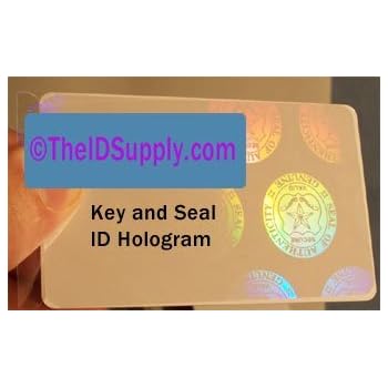 Amazon.com : 6 ID Cards Security Hologram Overlay Stickers with Micro ...