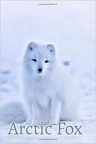Arctic Fox: Arctic Fox Notebook for Kids and Adults: Arctic Fox Journal ...