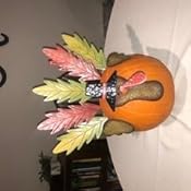 Amazon.com : Thanksgiving Pumpkin Turkey Making Kit : Outdoor Decor ...