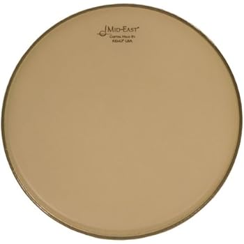 Amazon.com: Remo Banjo Head, Renaissance, 11" High: Musical Instruments