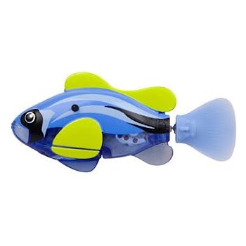 Amazon.com: Robo Fish: Blue Electronic 3-Inch Clownfish by Zuru: Toys ...