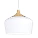 Legion Furniture LM10904-22 Pendant Lamp, White - - Amazon.com
