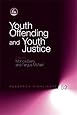 Youth Justice and Social Work (Transforming Social Work Practice Series ...