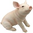 Amazon.com: Unicorn Studio Baby Pig Pink Piglet Sitting Farm Animal ...