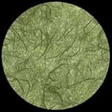 Amazon.com: Paper Unryu Tissue Burgundy 25X37