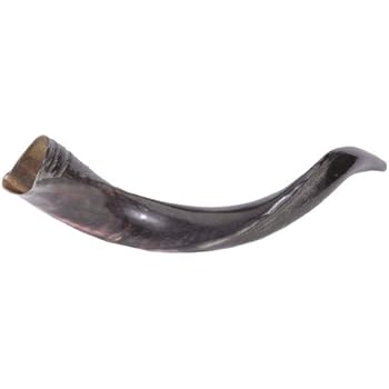 Amazon.com: Jerusalem Shofar Kosher Rams Horn Polished Natural Chofar ...