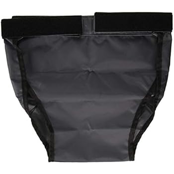 Amazon.com: Mobility Transfer System (a) Safetysure Mary's Aide ...