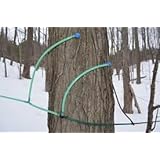 Amazon.com: Maple Syrup Tapping Kit - Plastic Bucket, Bucket Lid, and ...