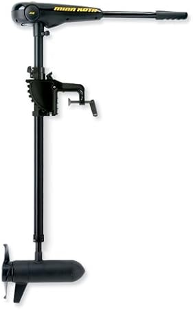 Amazon.com : Minn Kota Vector Transom-Mount Trolling Motor with 3X ...