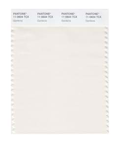PANTONE Smart 11-0604X Color Swatch Card, Gardenia - House Paint ...