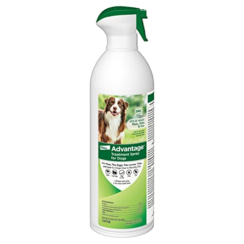 The Best Flea Sprays for Dogs - Dogtime