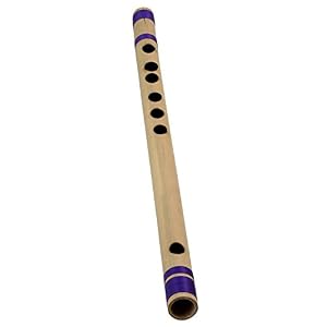 Amazon.com: Bamboo Flute Indian Bansuri, B Key, 10 Inches Long ...