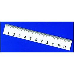 Amazon.com : Braille Low Vision Ruler 2 Inch X 12 Inch : Office And ...