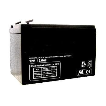 12 Volt 12 Amp Lead Acid Emergency Light Battery - - Amazon.com