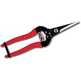 Amazon.com : ARS HP-300LDX Stainless Steel Needle Nose Fruit Pruners : Hand Pruners : Patio ...