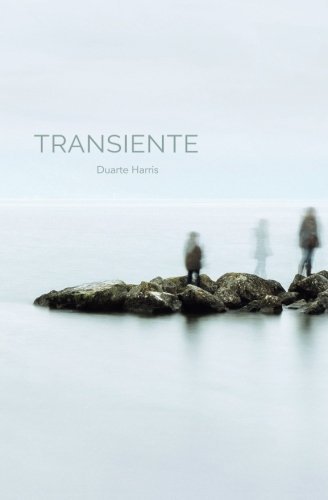 Transiente PDF
