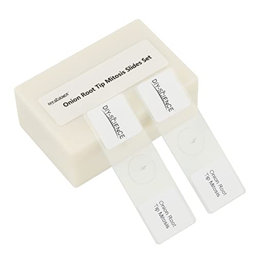 Onion Root Tips Cell Mitosis Microscope Slides Set, Upgraded 15PCS Pack ...
