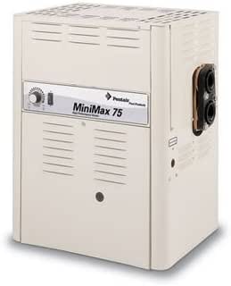 Amazon.com : Pentair 460347 MiniMax 100 BTU Natural Gas Electronic High ...