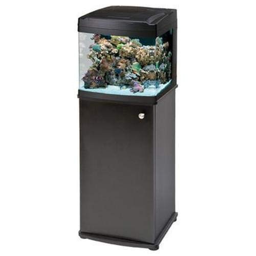 8 Best 10-Gallon Fish Tank Stand Ideas For Your Home [Reviews & Guide]