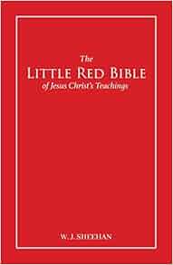 The Little Red Bible of Jesus Christ's Teachings - The Words in Red ...