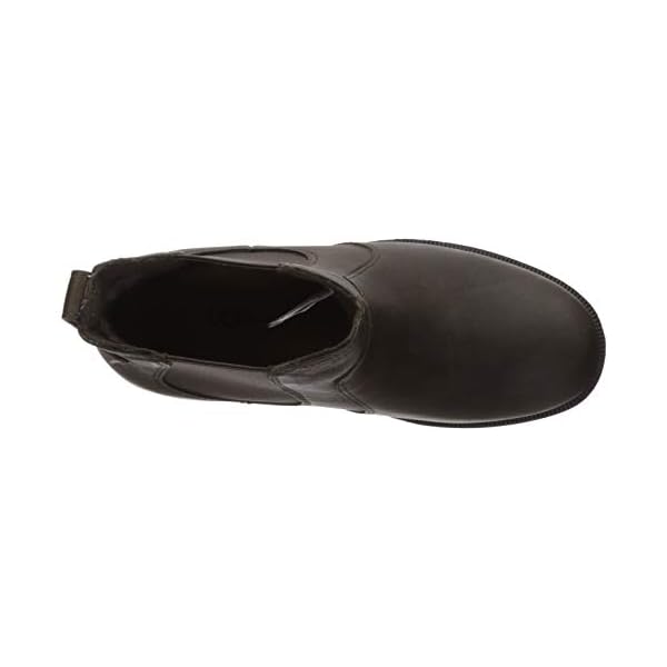 UGG Women's Bonham Iii Ankle Boot | Pretty Boots and Shoes