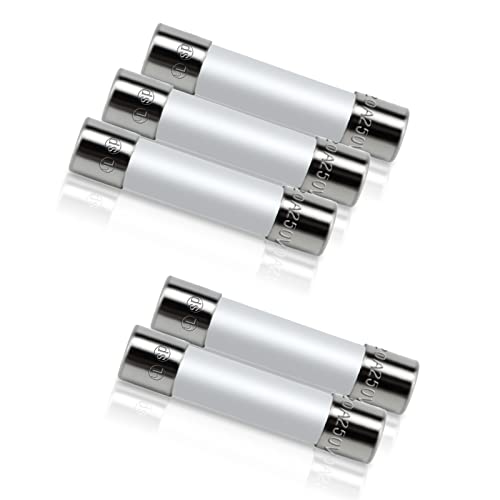Beaquicy Microwave Fuse Ceramic Fuse Cartridge Fuse 20 Amp 250V Slow ...